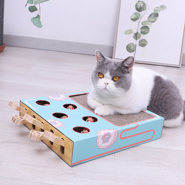 Catify – Happy-Poppy